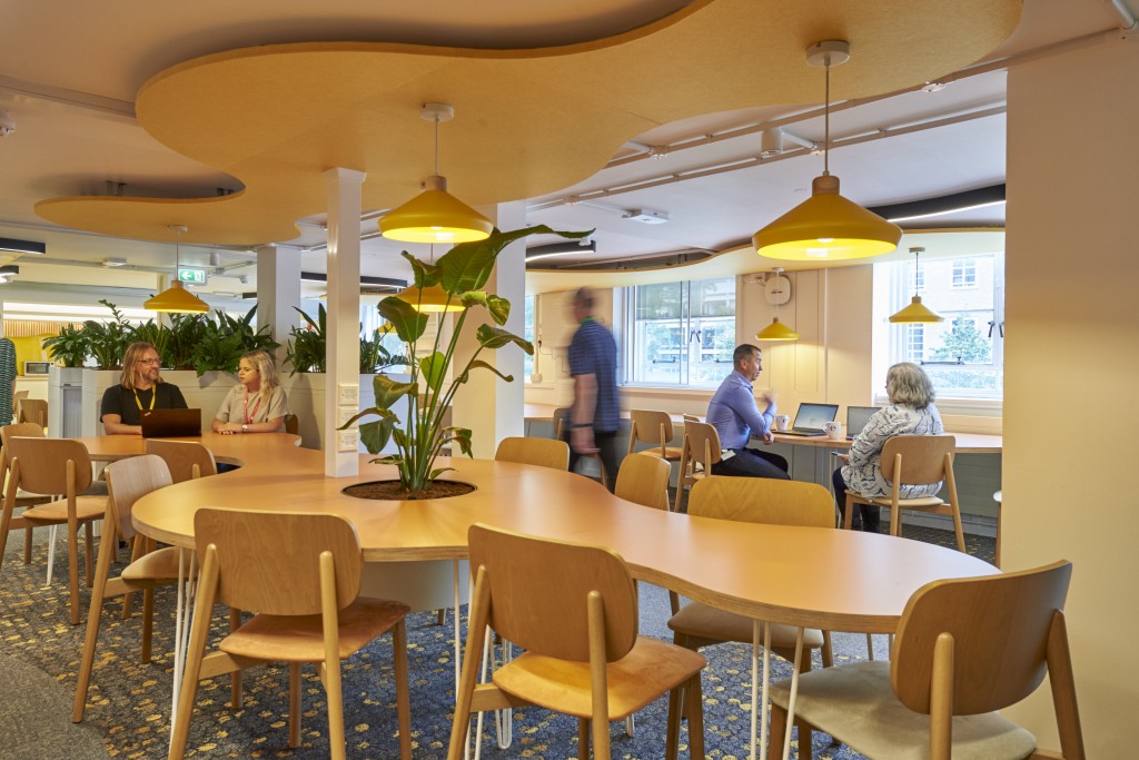 Birkbeck University of London Professional Services Workspace - Tate + Co