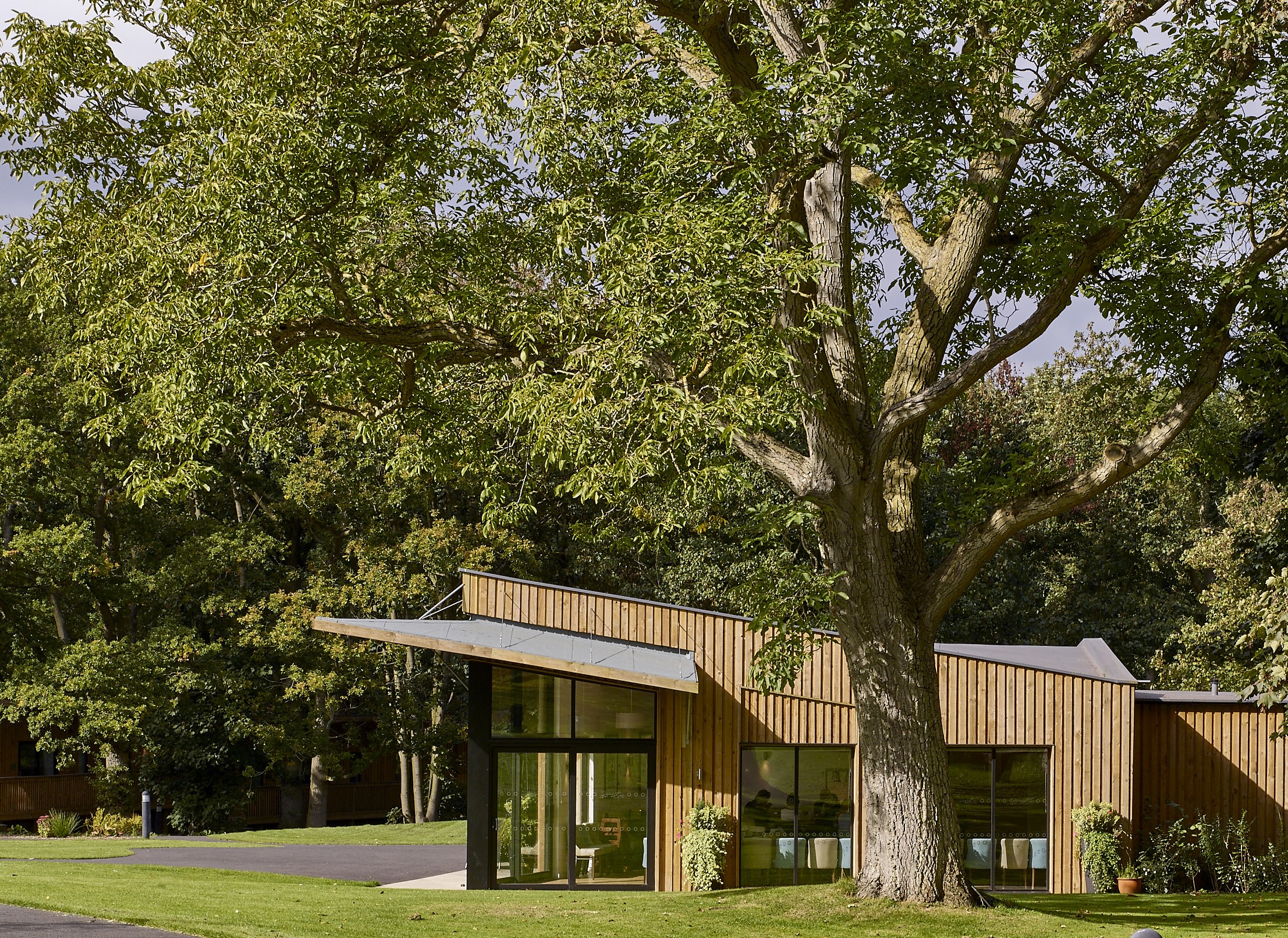 How can I create a design that works on a site with existing, mature ...